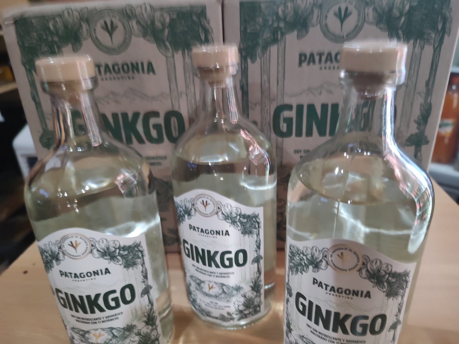 GIN PATAGONIA GINKGO X 500 ML – Atención 24hs