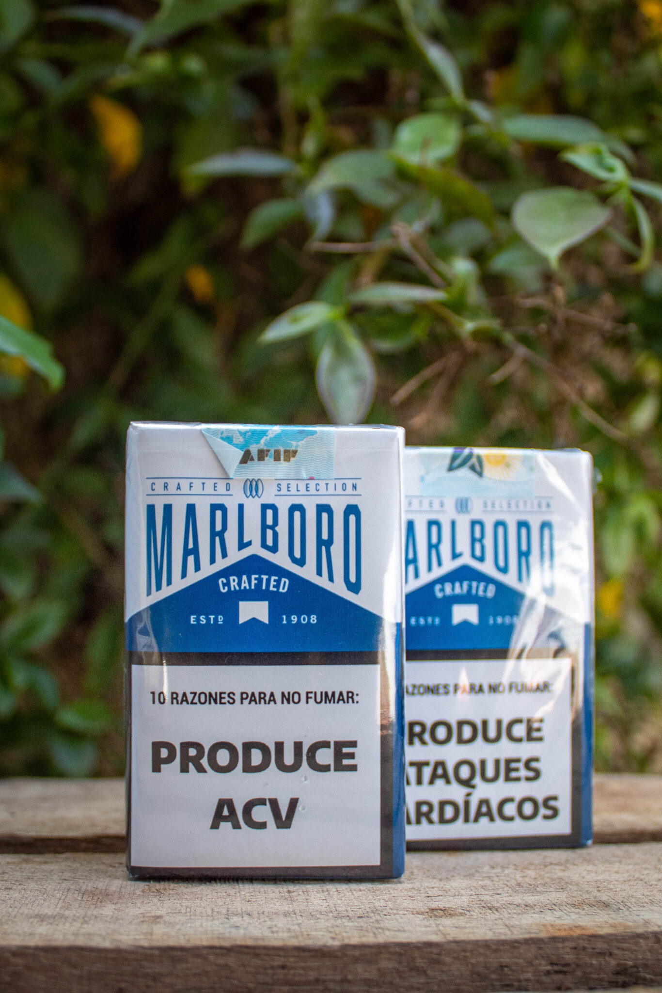 MARLBORO CRAFTED 20 RUBIO SUAVE KS – Atención 24hs
